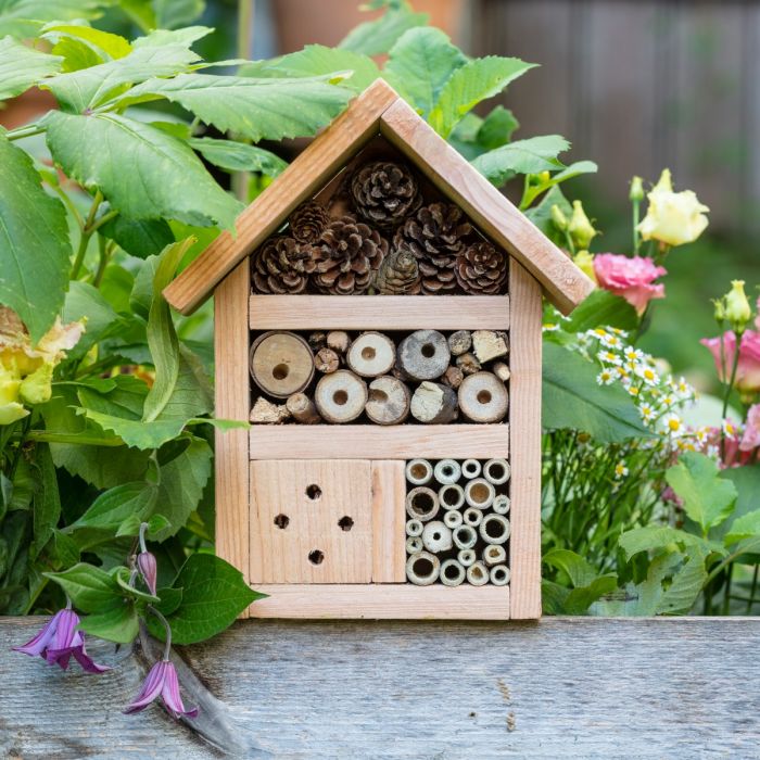 National Trust Foraged Insect House