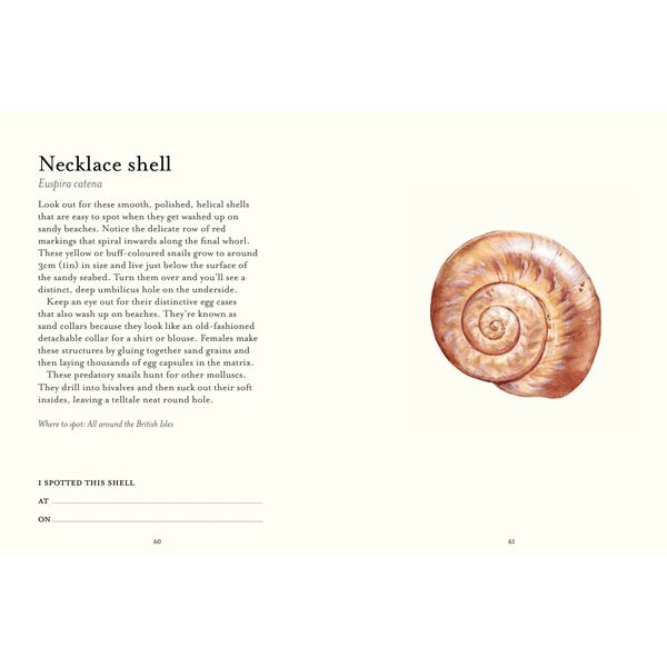 National Trust Shell Spotters Guide