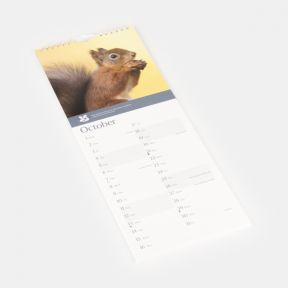 Charity Calendars and Diaries | National Trust Shop