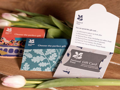 Unique Gifts & Unusual Presents Online | National Trust Shop