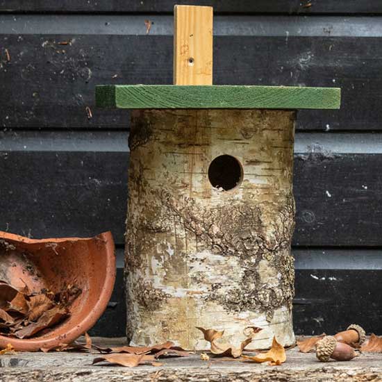 Unique Gifts & Unusual Presents Online | National Trust Shop