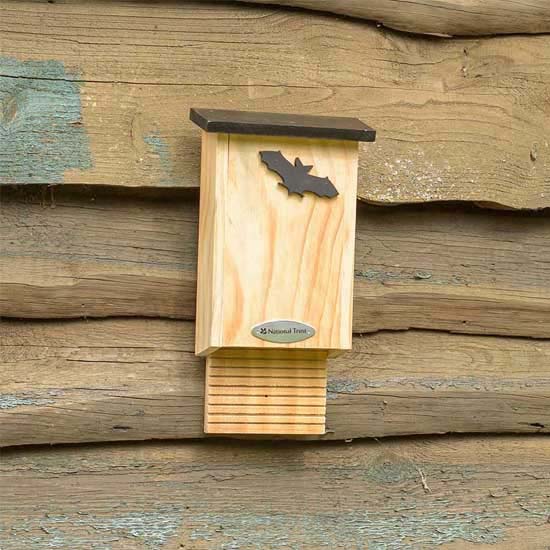 Unique Gifts & Unusual Presents Online | National Trust Shop