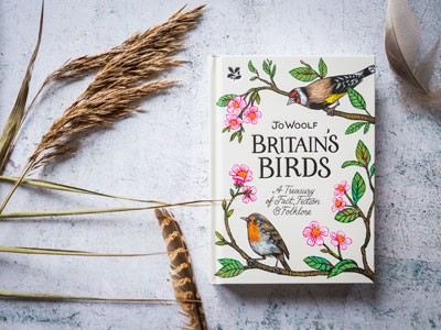 Unique Gifts & Unusual Presents Online | National Trust Shop